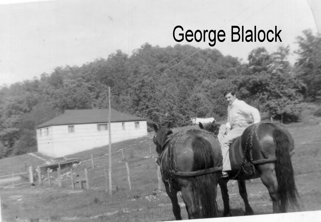 Wanda Howard Fisher Photograph Collection