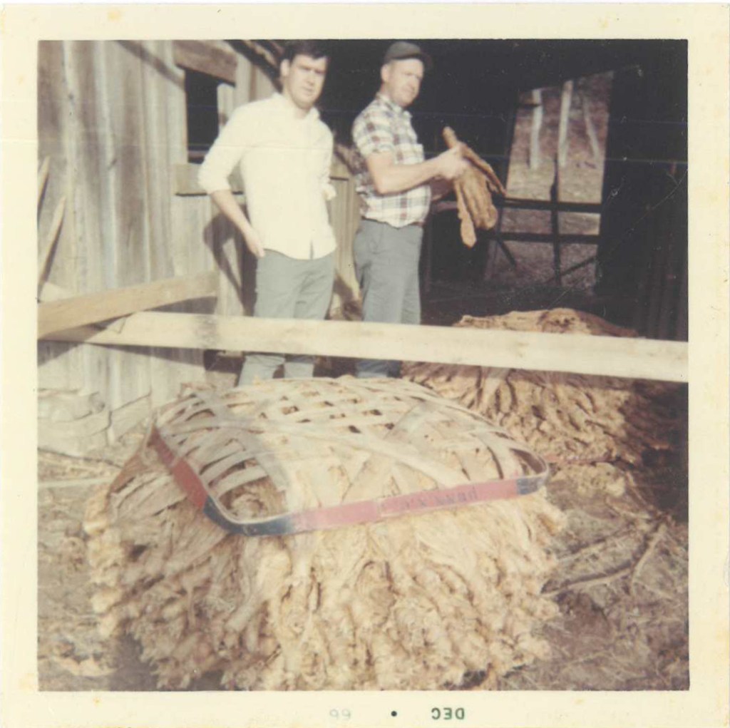 Teaster Family Photograph Collection