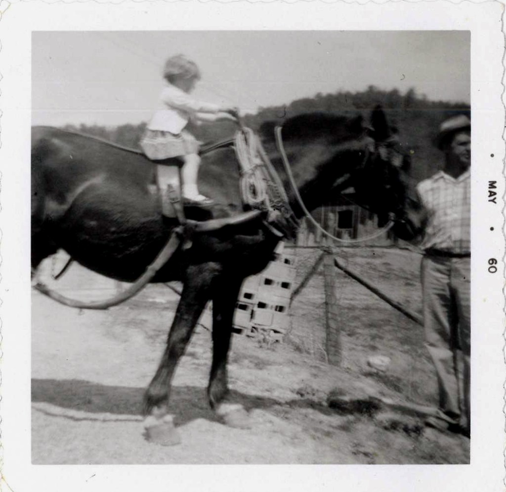 Teaster Family Photograph Collection